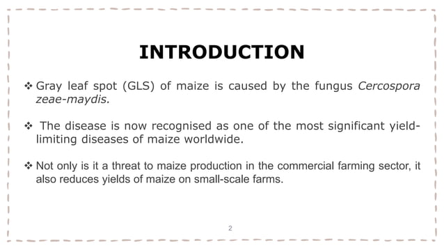 Gray leaf spot of maize | PPTX | Gardening | Home & Garden