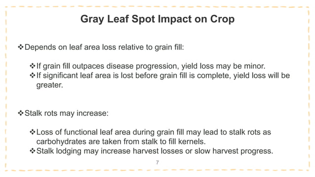 Gray leaf spot of maize | PPTX | Gardening | Home & Garden
