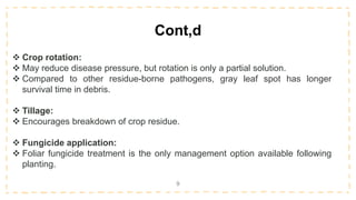 Gray leaf spot of maize | PPTX | Gardening | Home & Garden