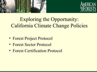 Advancing a Reforestation Project Under the CCAR | PPT | Environmental ...