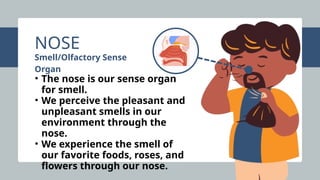 Sense organs. Eye, Ear, nose, skin and tongue | PPT