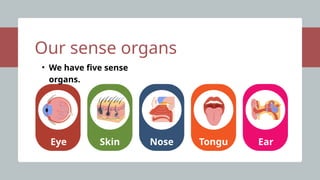 Sense organs. Eye, Ear, nose, skin and tongue | PPTX