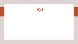 Sense organs. Eye, Ear, nose, skin and tongue | PPT