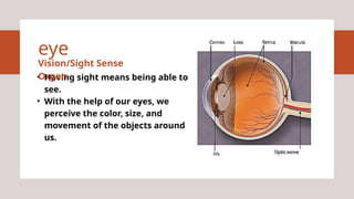 Sense organs. Eye, Ear, nose, skin and tongue | PPTX