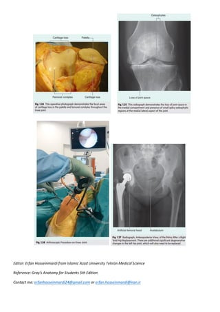 Gray's Anatomy, Chapter 1, Skeletal System.pdf