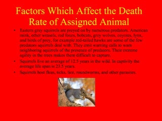 Gray Squirrel, Cody Gaynor | PPT | Fish and Aquariums | Pets