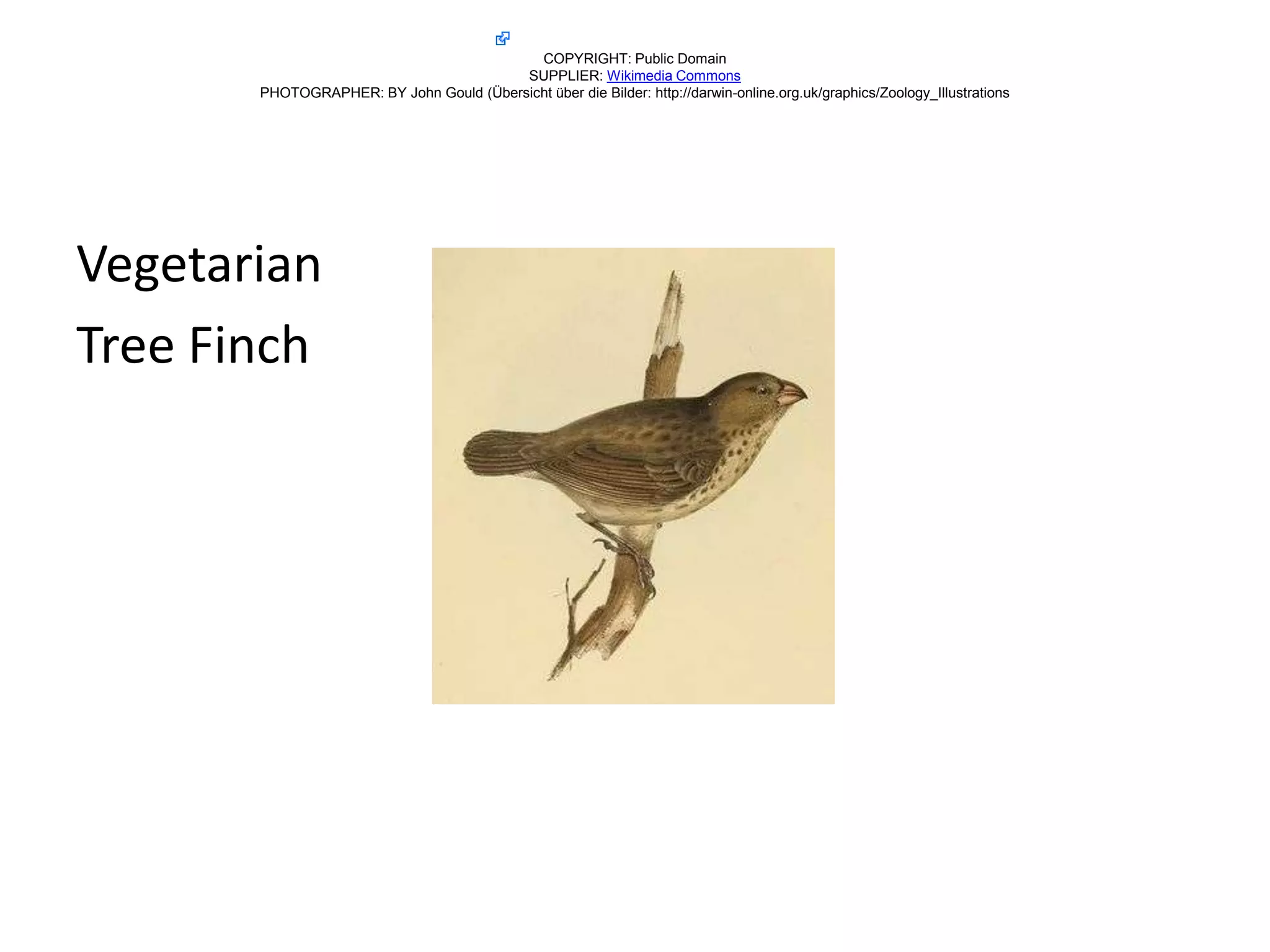 Gray unit5 presentation | PPTX