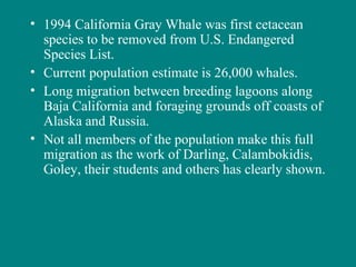 Gray whales in sf bay | PPT