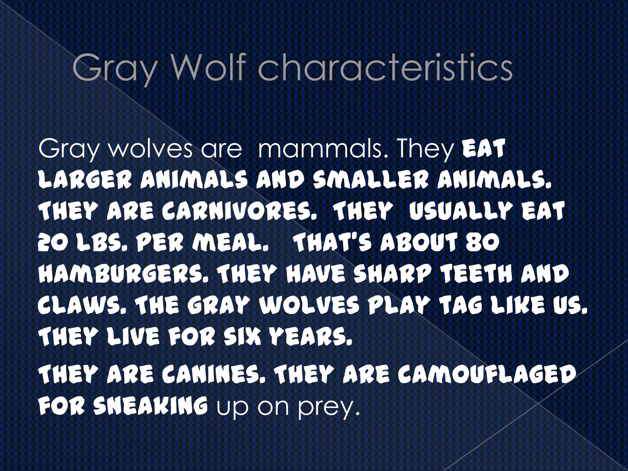 Gray wolf | PPT