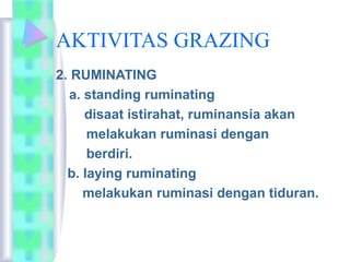 TINGKAH LAKU MERUMPUT | Grazing behaviour | PPT