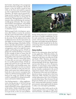 Grazing Contracts for Livestock | PDF