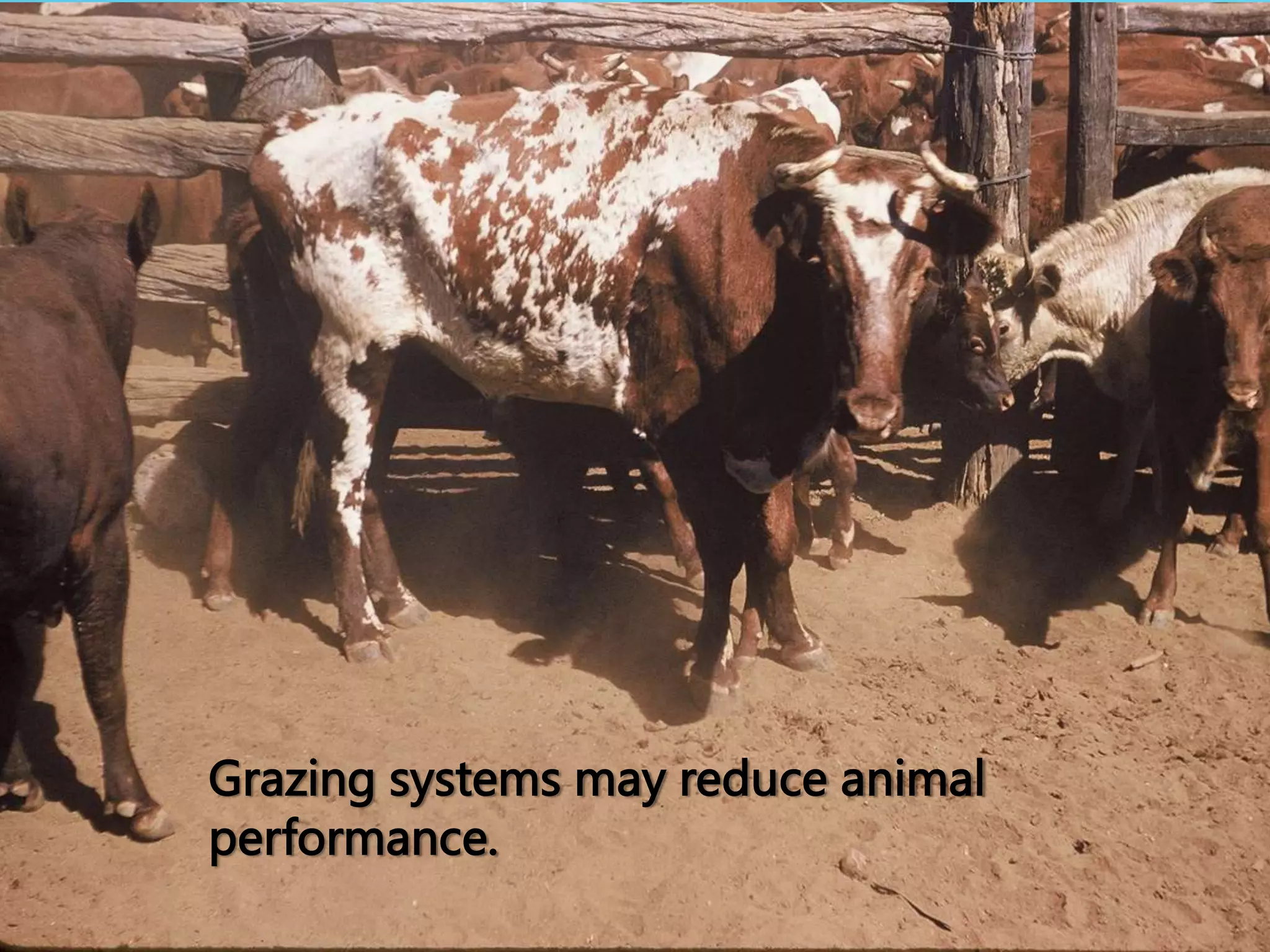 Grazing_management_Talk.ppt