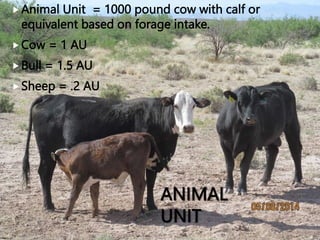 Grazing_management_Talk.ppt | Agriculture | Industries