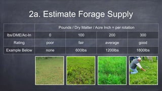 Grazing Plan - Explainer Rough Draft_1.2.pdf