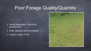 Grazing Plan - Explainer Rough Draft_1.2.pdf