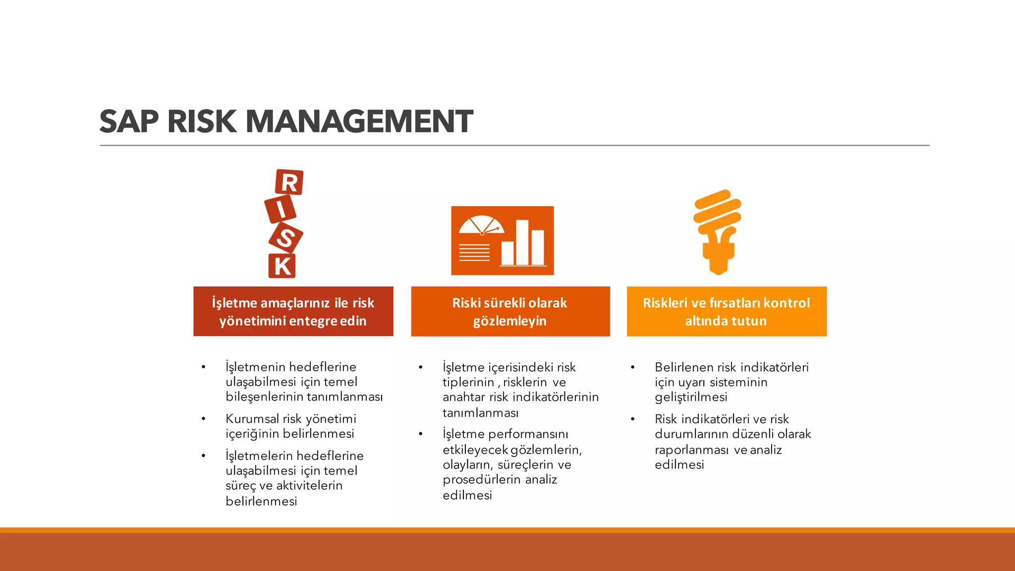 Kurumsal Riskler, Kurumsal Çözümler - SAP Risk Management | PDF