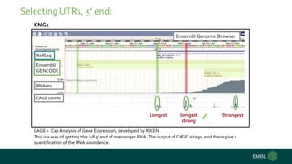 The Matched Annotation from NCBI and EMBL-EBI (MANE) Project | PPTX ...