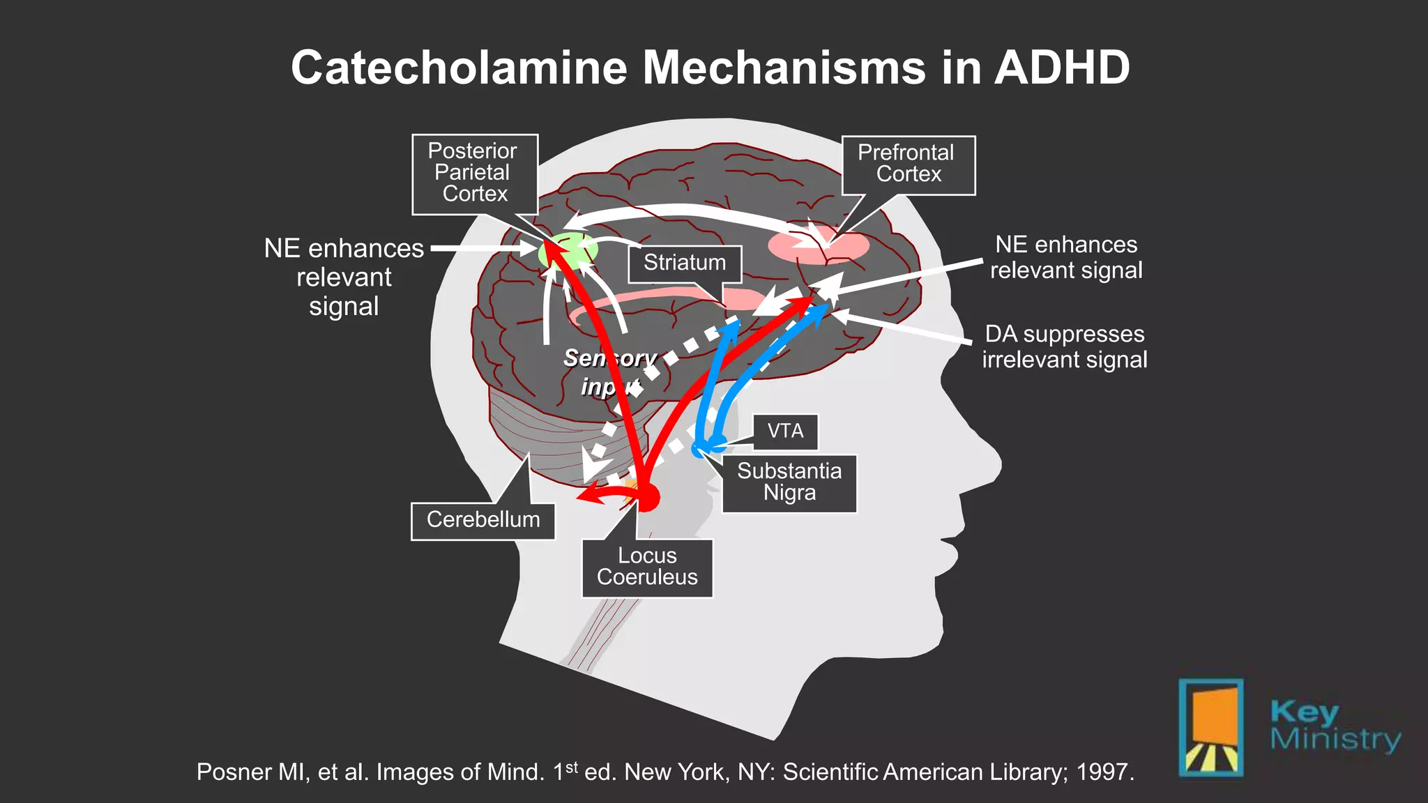 The Many Impacts of ADHD Upon Spiritual Development | PPTX