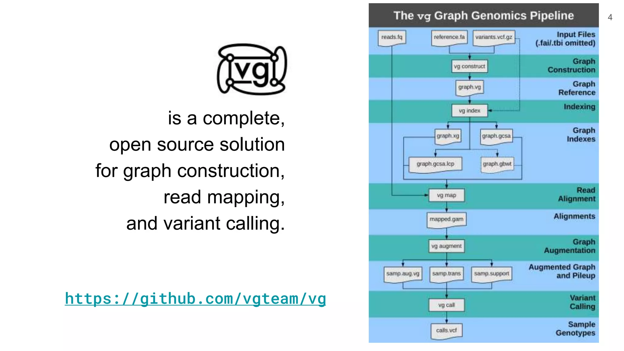 Genome variation graphs with the vg toolkit | PPTX | Genetics | Science