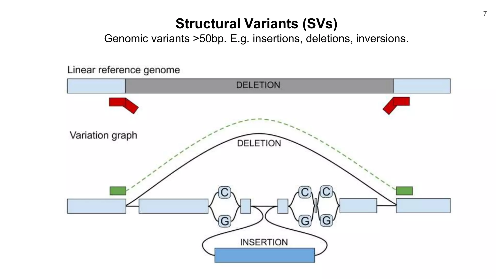 Genome variation graphs with the vg toolkit | PPTX