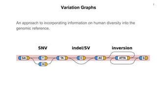 Genome variation graphs with the vg toolkit | PPTX