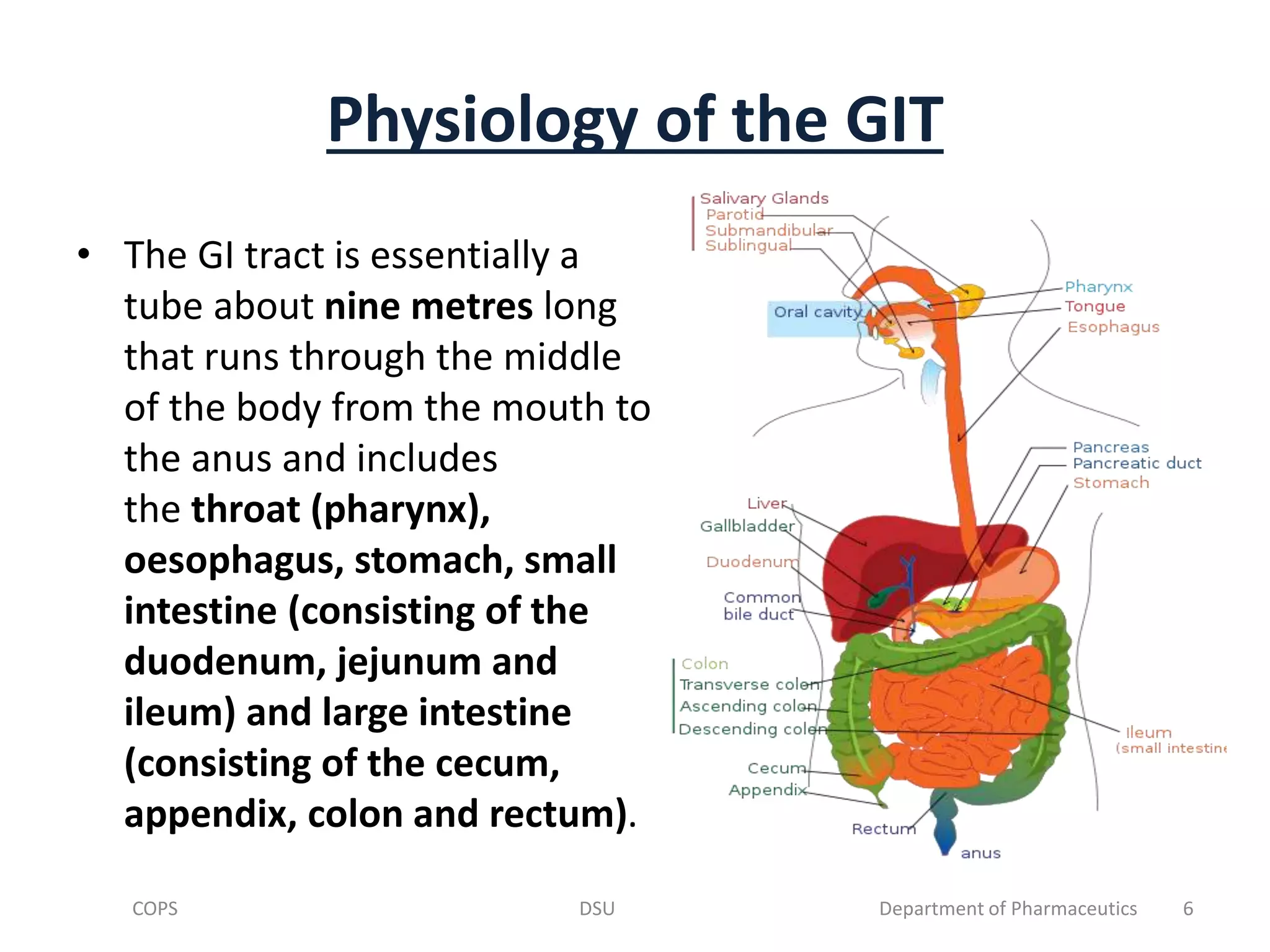 Gastroretentive drug delivery system | PPTX