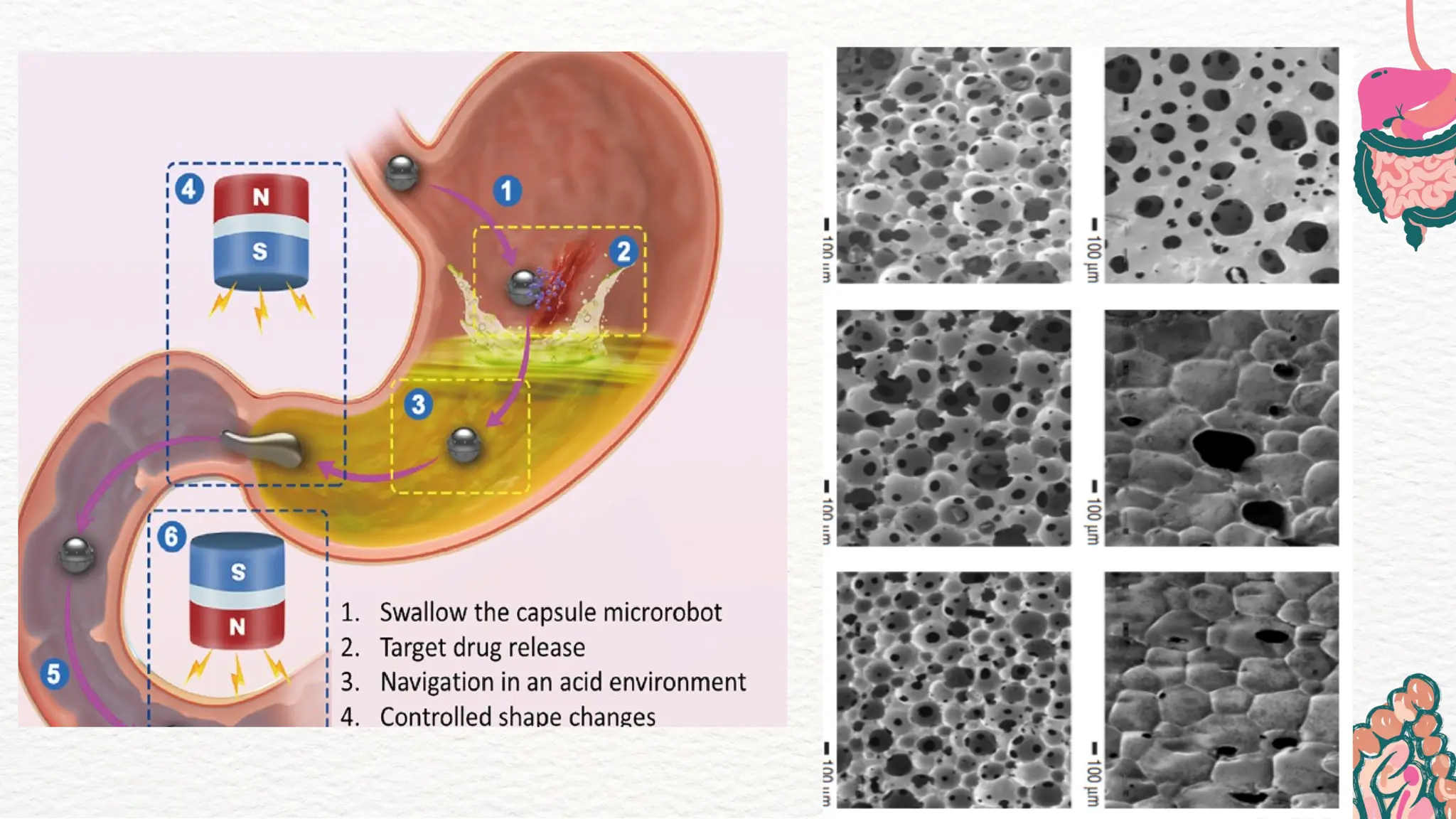 Gastro retentive drug delivery system (GRDDS) | PPTX