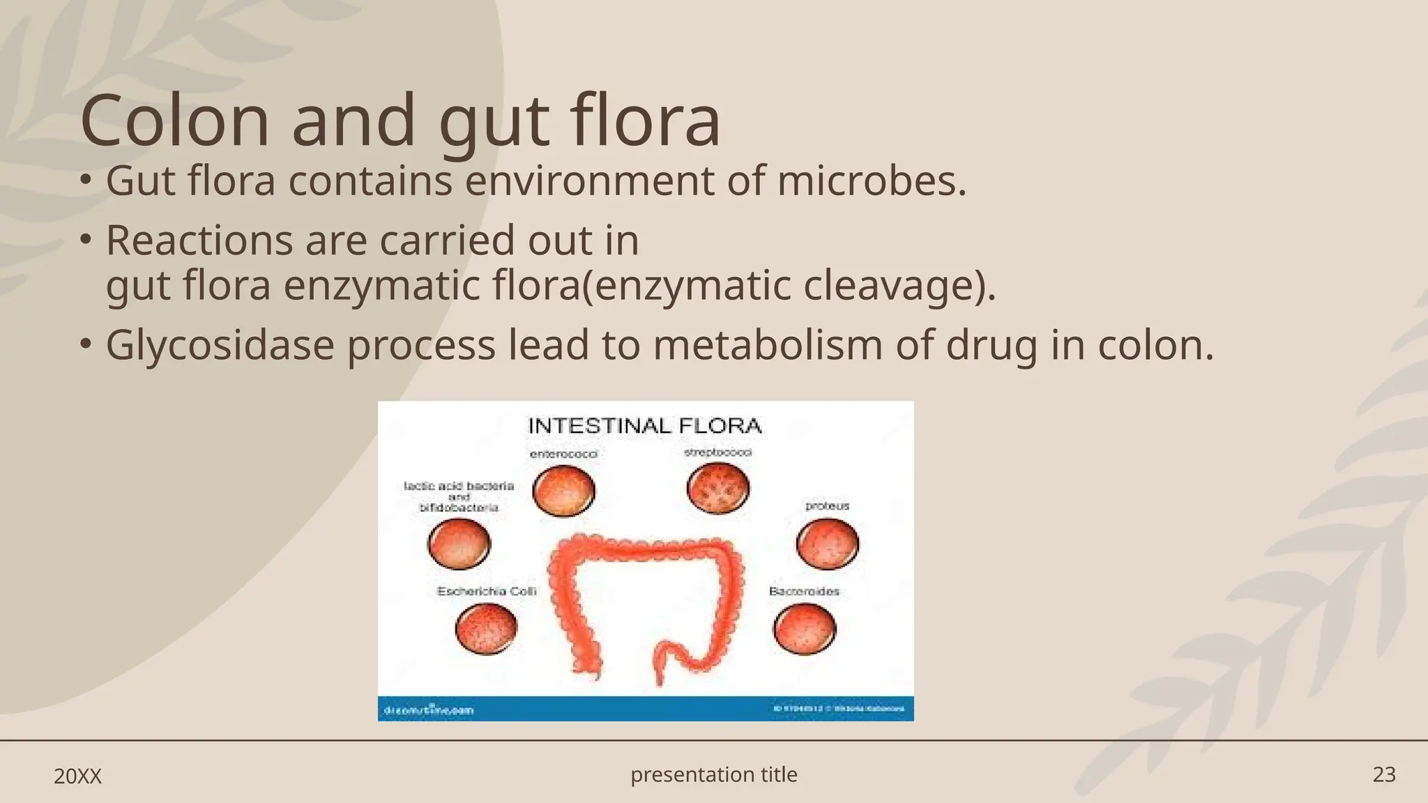 Gastro-retentive drug delivery system introduction.pptx