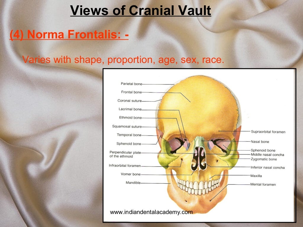 Growth & development of cranial base & vault cranial