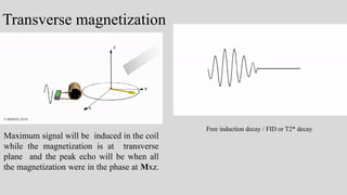 MRI Gradient Recalled Echo Pulse Sequence | PPTX