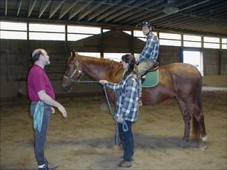 Great Strides Healing And Horses | PPT