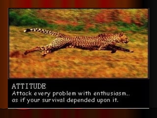 Great Thoughts | PPT