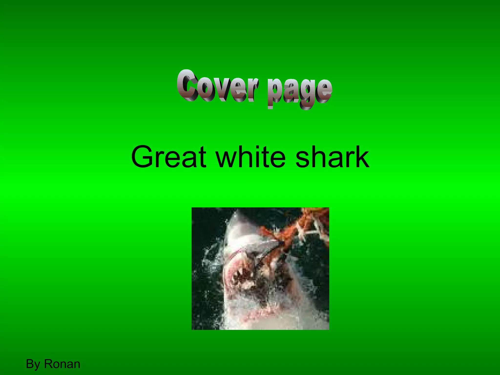 Great White Shark | PPT