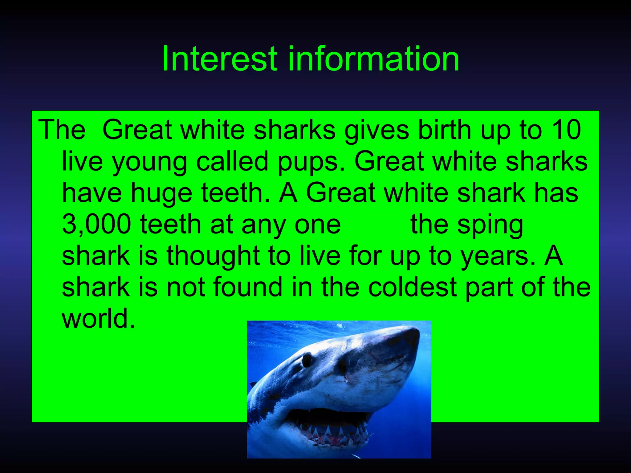 Great White Shark | PPT