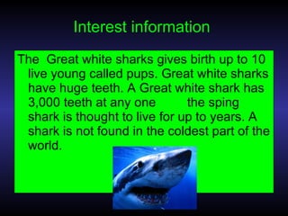 Great White Shark | PPT