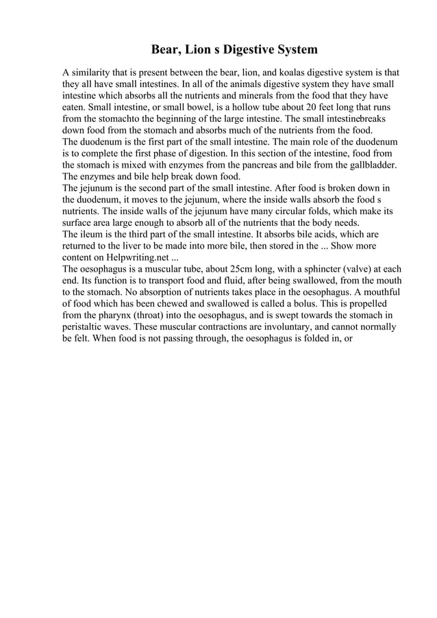 Great Argumentative Essays | PDF