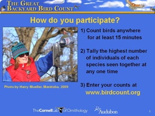 Great Backyard Bird Count | PPT