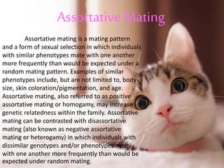 Factors Affecting Allele Changes in Frequency: Mutation | PPTX
