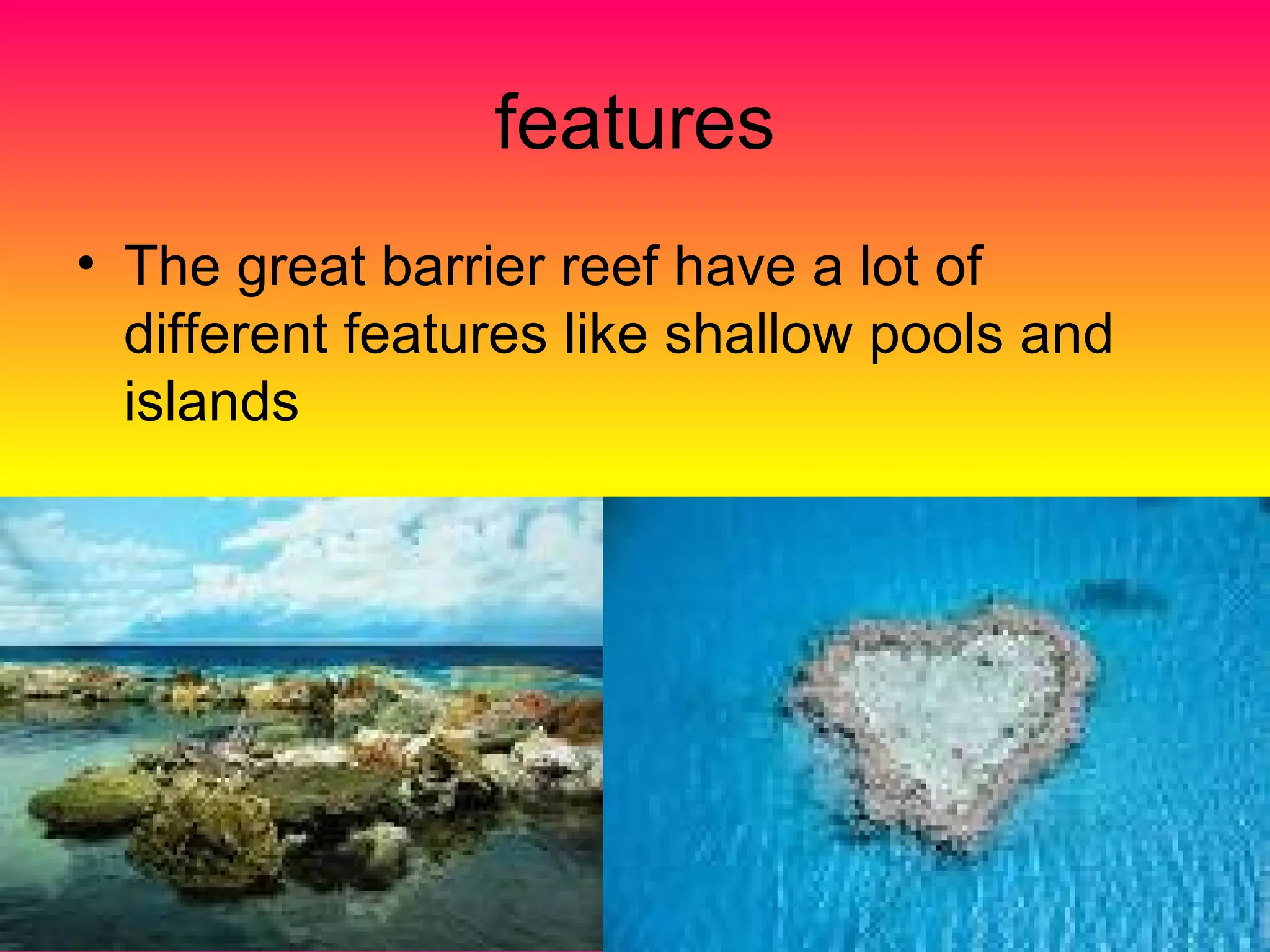 Great Barria Reef | PPT