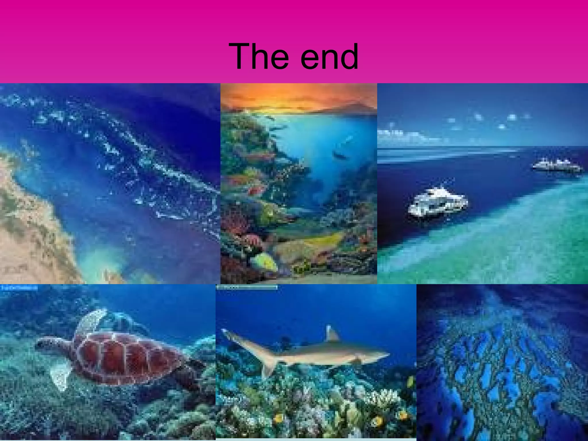 Great Barria Reef | PPT