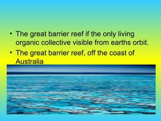 Great Barria Reef | PPT