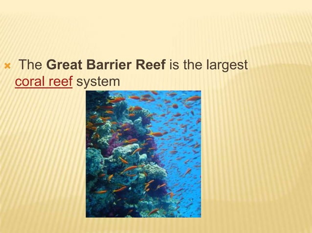 Great Barrier Reef | PPT