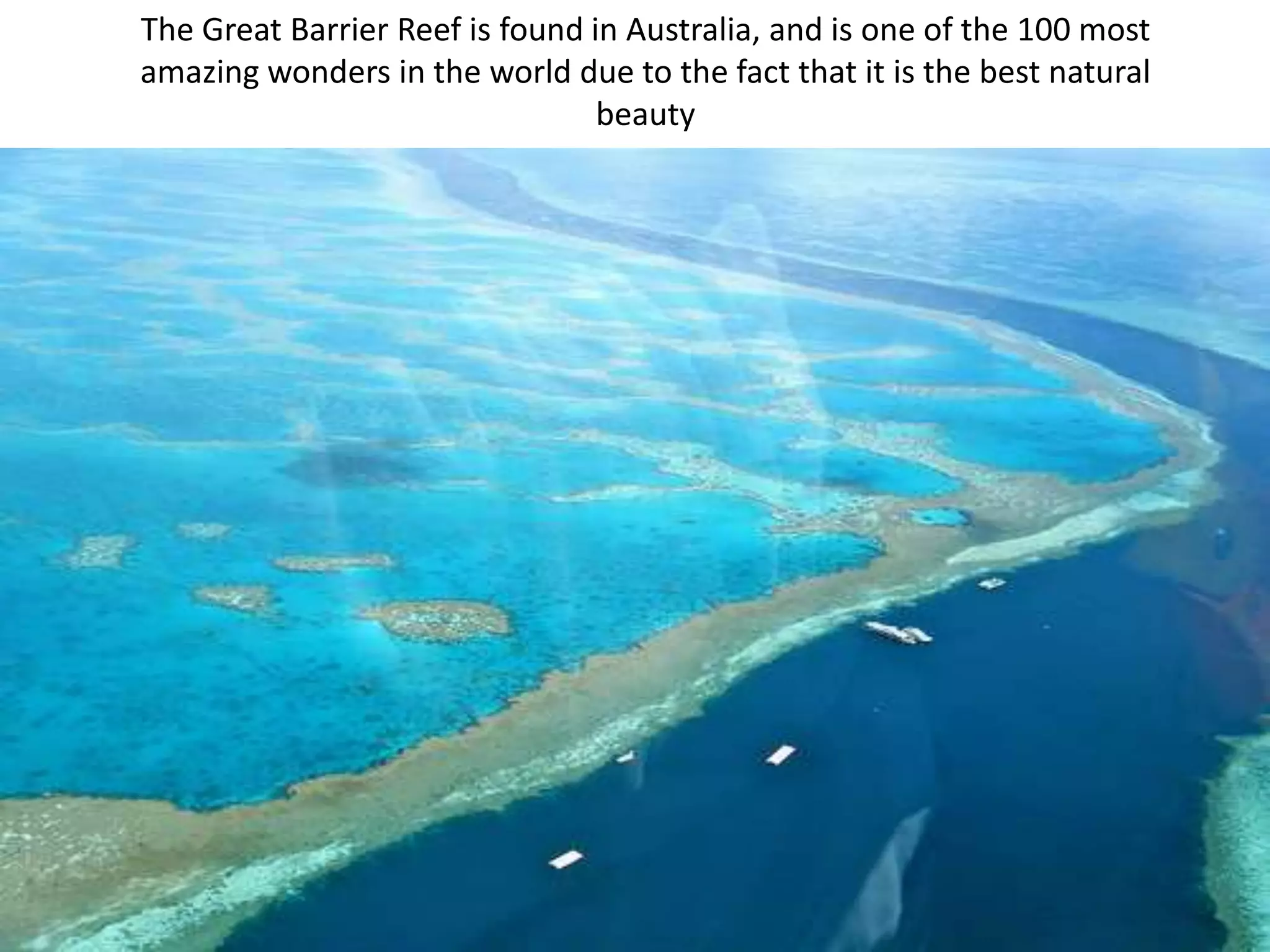 Great barrier reef | PPTX