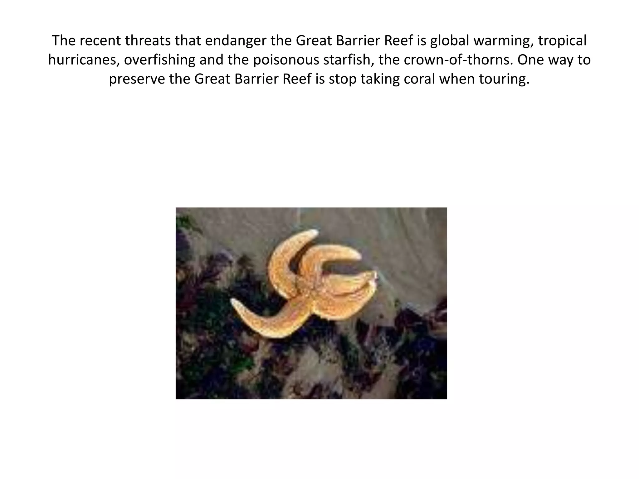 Great barrier reef | PPTX