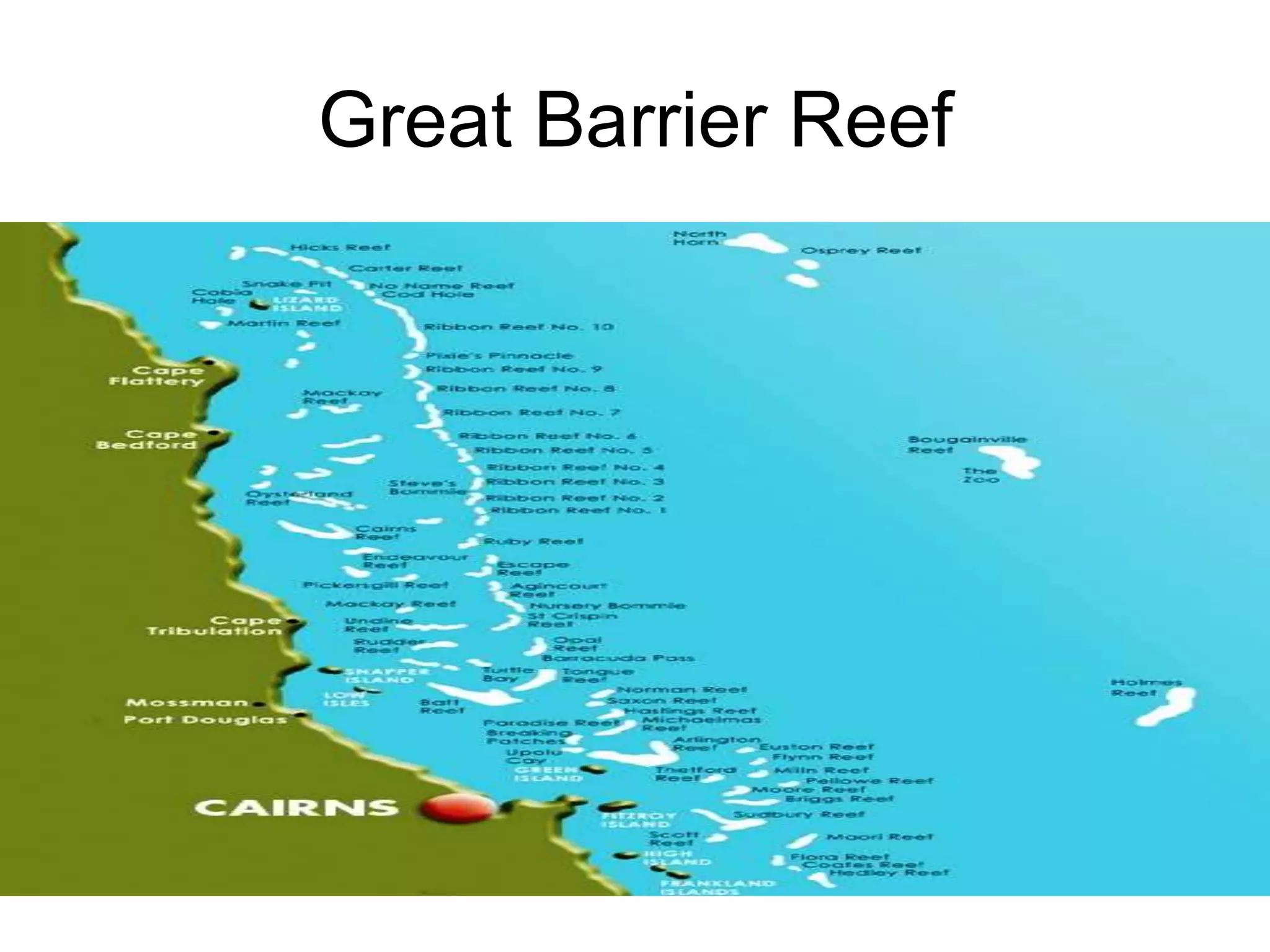 Great barrier reef | PPTX
