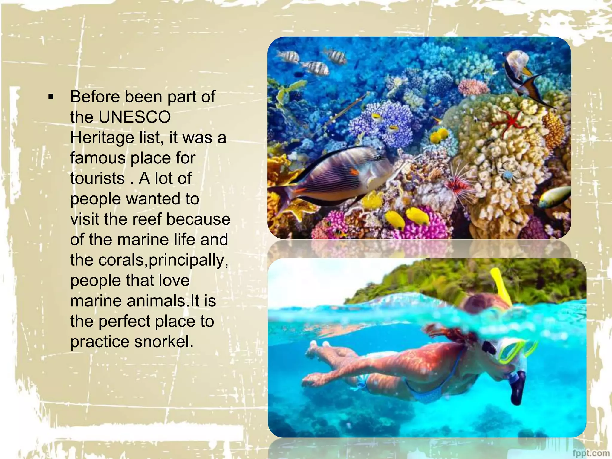 Great barrier reef | PPTX