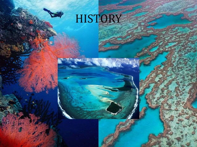 Great barrier reef | PPT