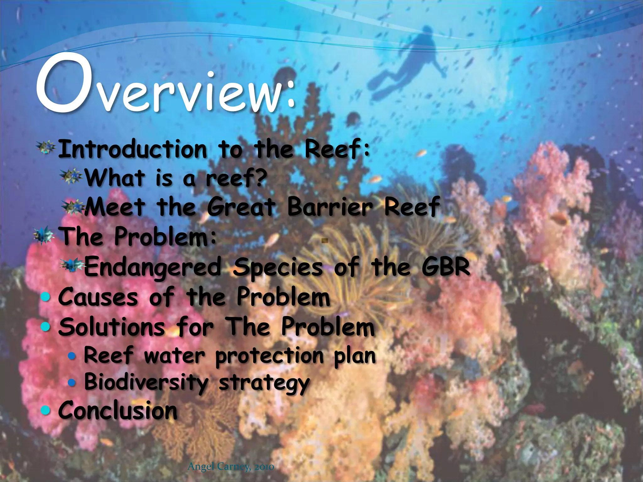Great barrier reef presentation | PPTX