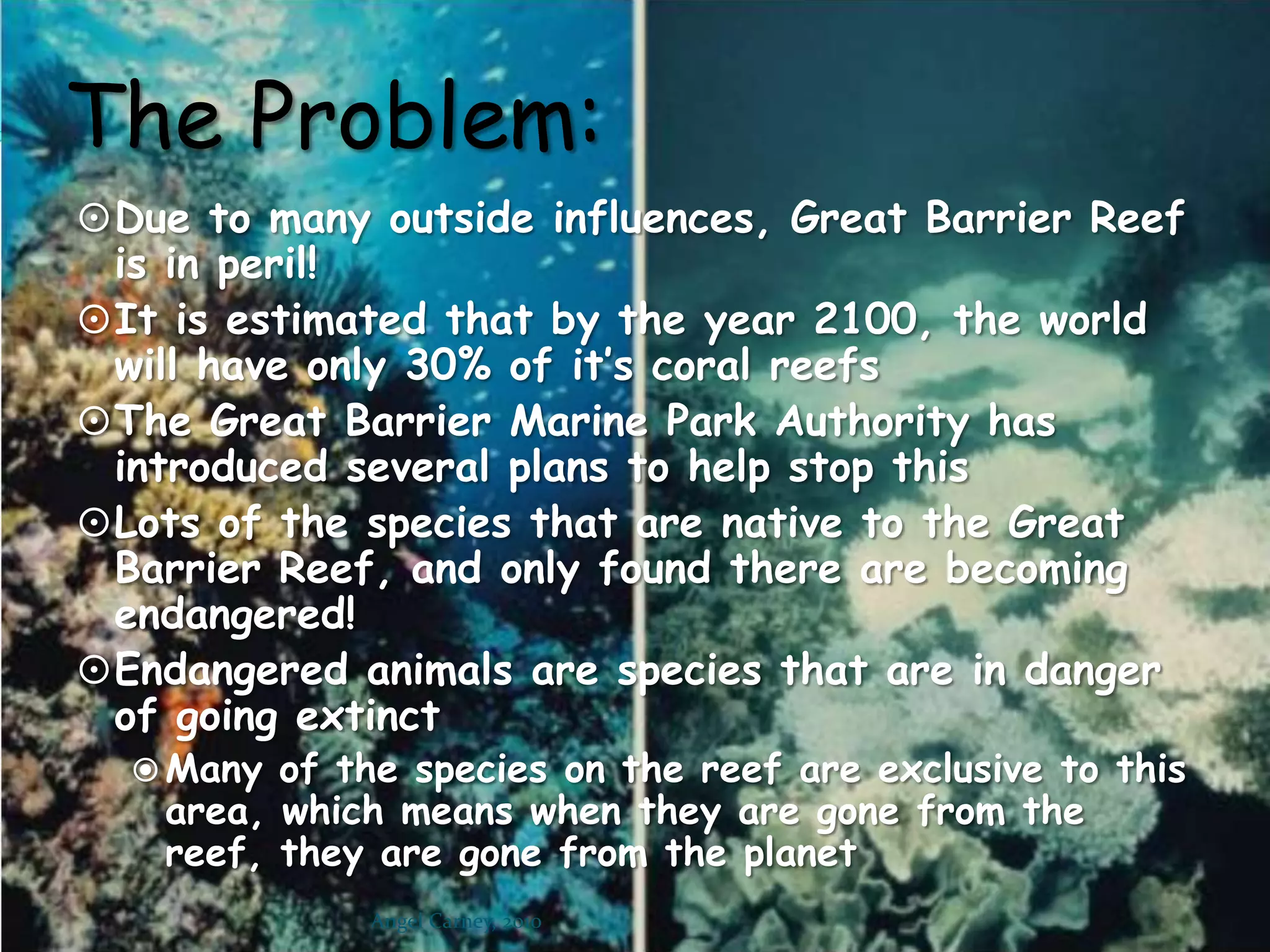 Great barrier reef presentation | PPTX