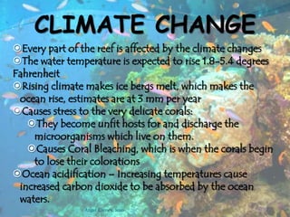 Great barrier reef presentation | PPTX